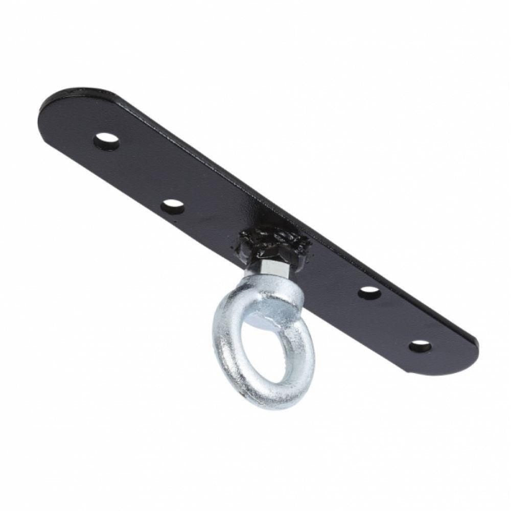 PRO BOX COLOSSUS CEILING HOOK – Taskers Sports